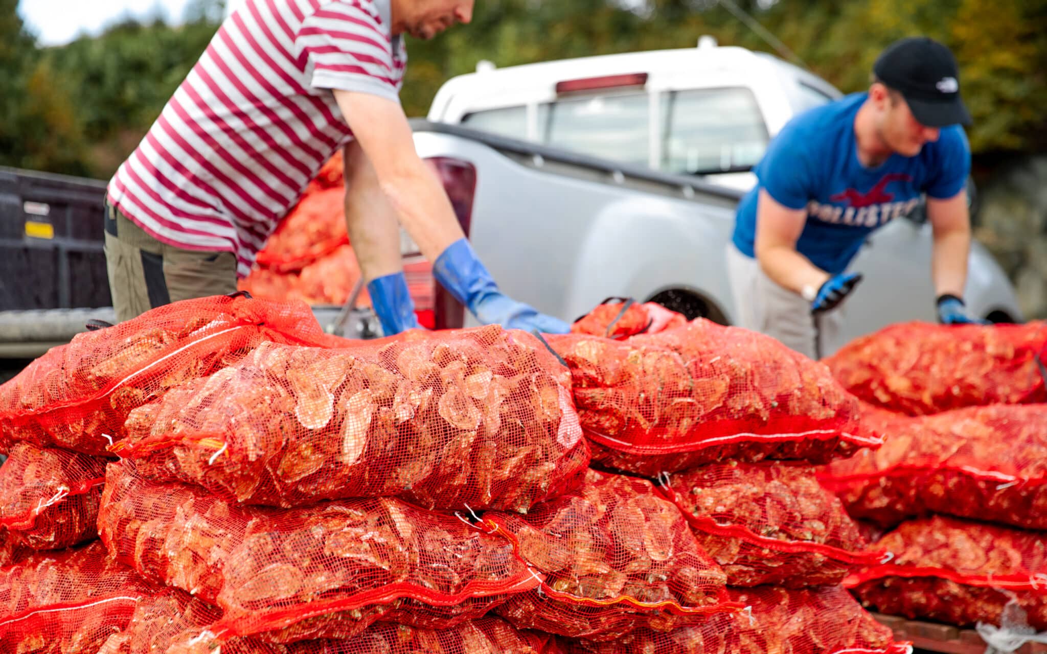 Fish+ – Access to aquatic foods that are delicious, nutritious, and ...